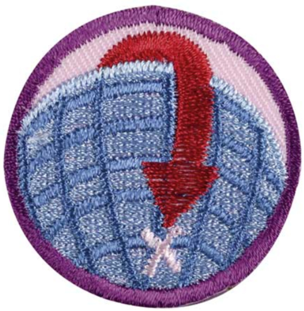 2011 – Geocacher – The Badge Archive