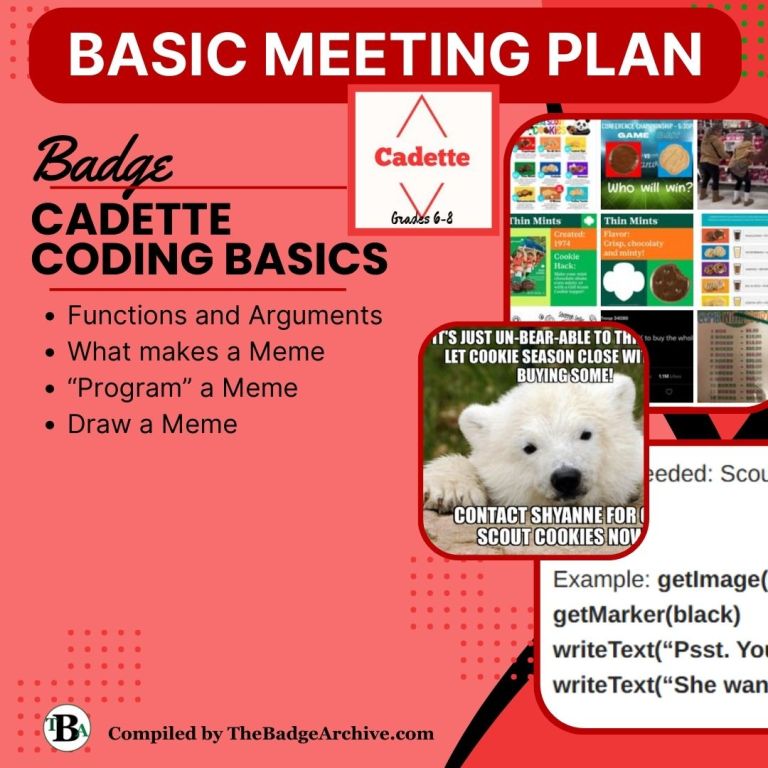 2011 – Cadette Coding Basics – Basic Plan – The Badge Archive