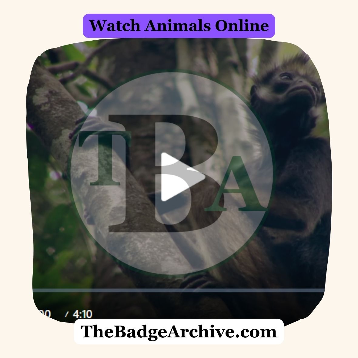 Watch Animals Online – The Badge Archive
