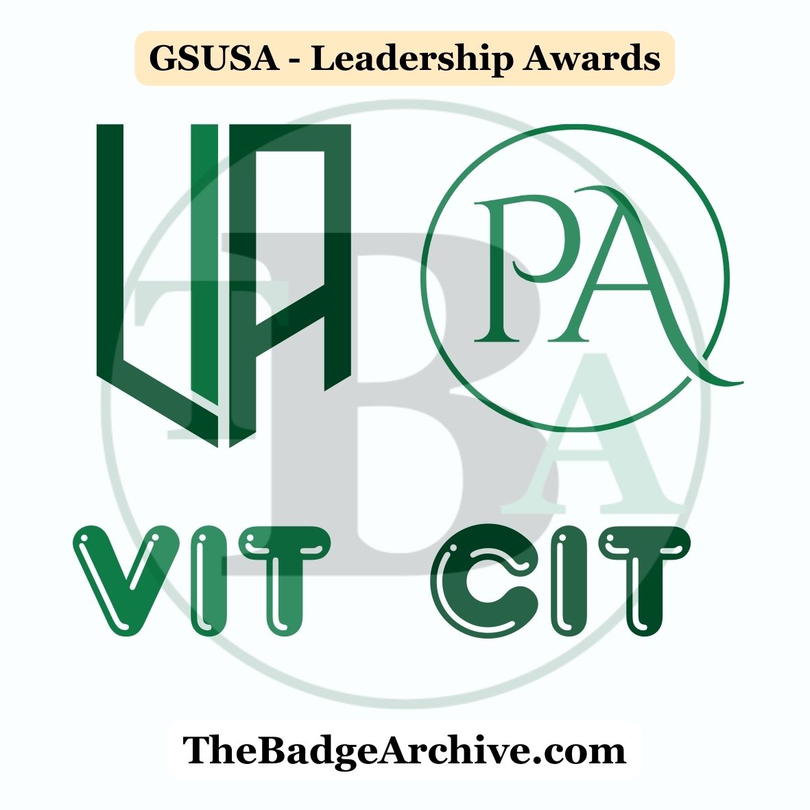 GSUSA – Leadership Awards – The Badge Archive