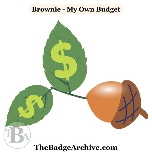 2011 – My Own Budget – The Badge Archive