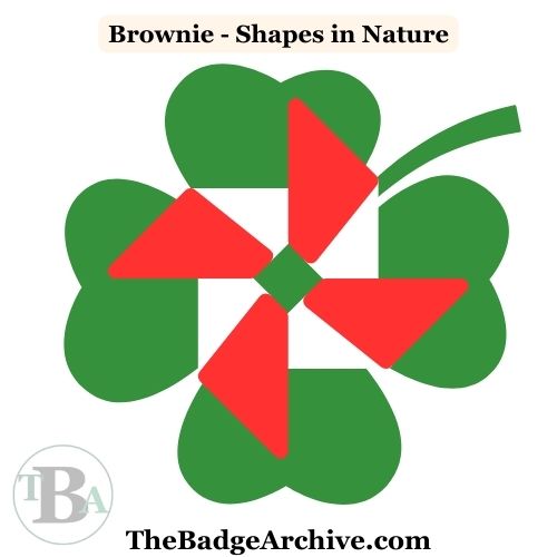 2011 – Brownie Shapes in Nature – The Badge Archive