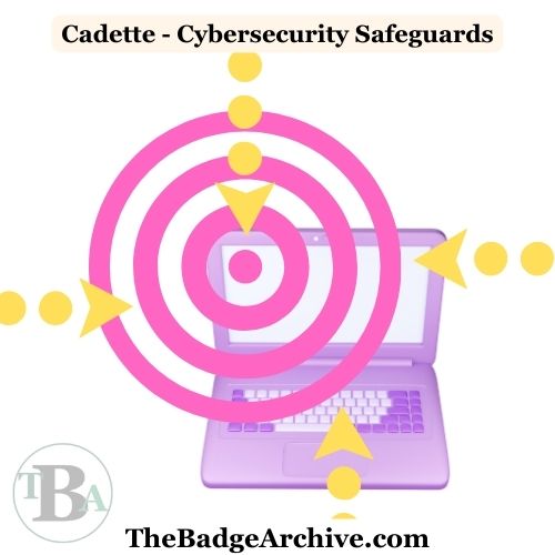 2011 – Cadette Cybersecurity Safeguards – The Badge Archive