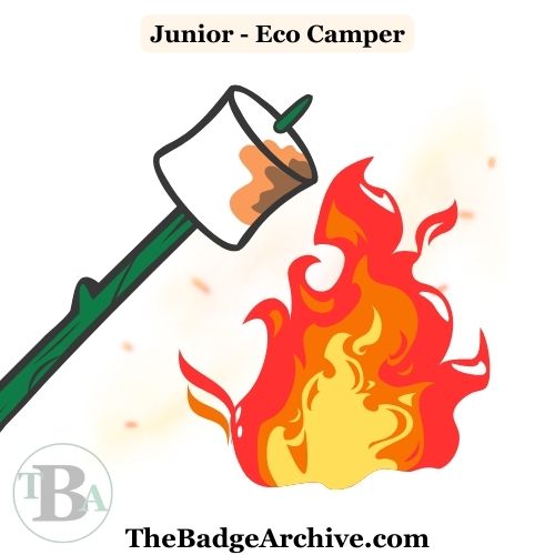 2011 – Eco Camper – The Badge Archive