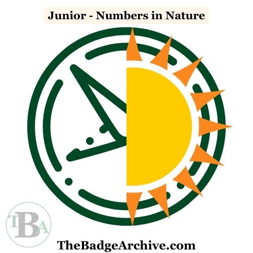 2011 – Junior Numbers in Nature – The Badge Archive