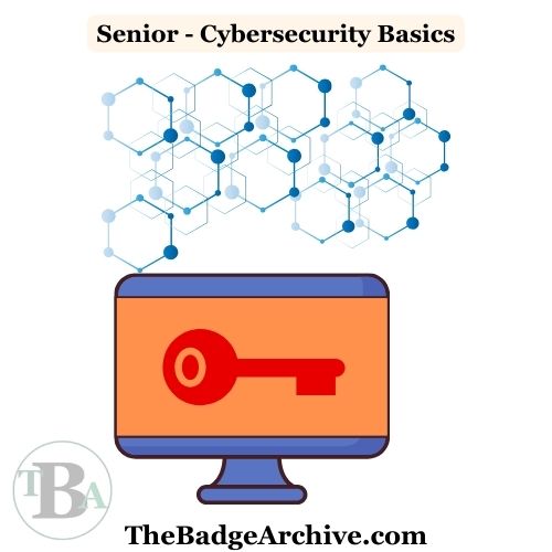 2011 – Senior Cybersecurity Basics – The Badge Archive