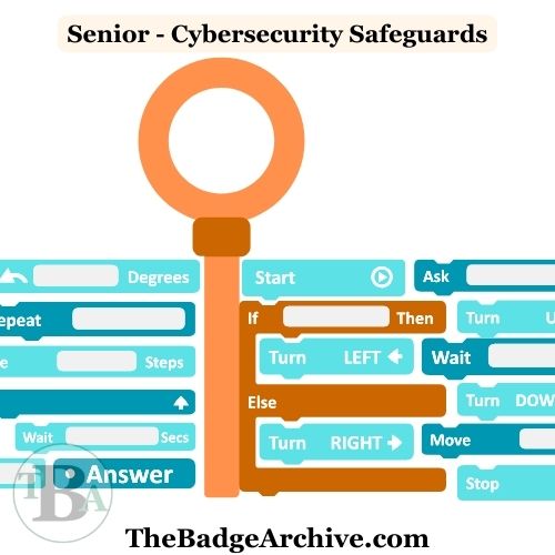 2011 – Senior Cybersecurity Safeguards – The Badge Archive
