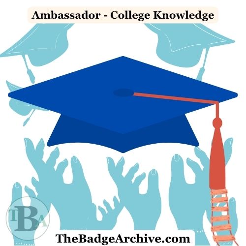 2011 – College Knowledge – The Badge Archive