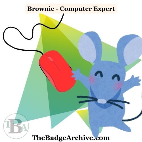 2011 – Computer Expert – The Badge Archive