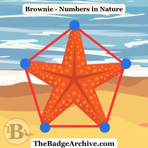 2011 – Brownie Numbers in Nature – The Badge Archive