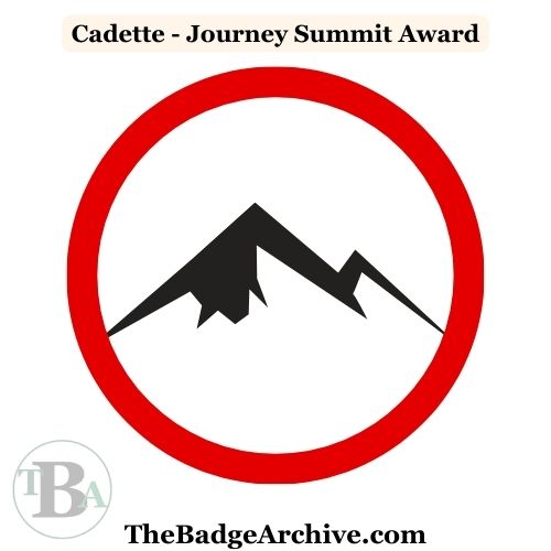 2011 – Cadette Journey Summit Award – The Badge Archive