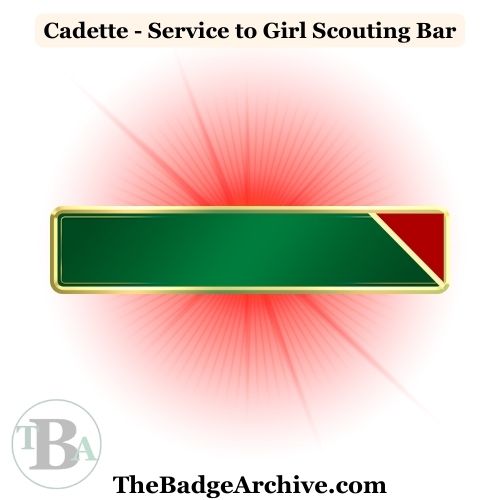 2011 – Cadette Service to Girl Scouting Bar – The Badge Archive