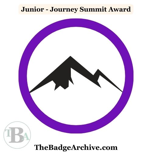 2011 – Junior Journey Summit Award – The Badge Archive
