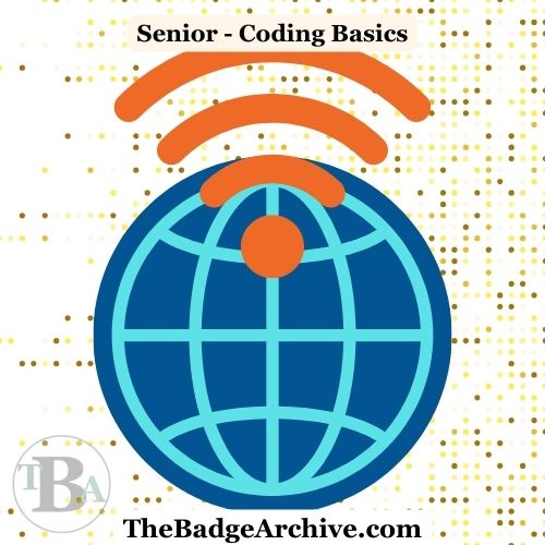 2011 – Senior Coding Basics – The Badge Archive