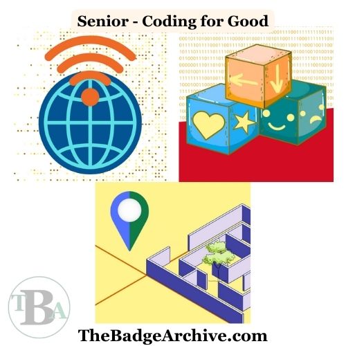 2011 – Senior Coding for Good – The Badge Archive