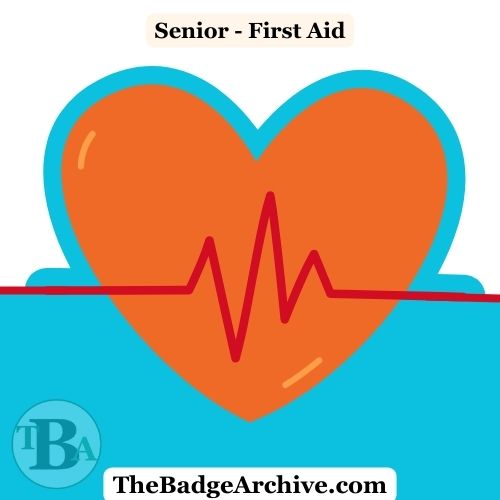 2011 – Senior First Aid – The Badge Archive