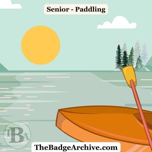 2011 – Paddling – The Badge Archive
