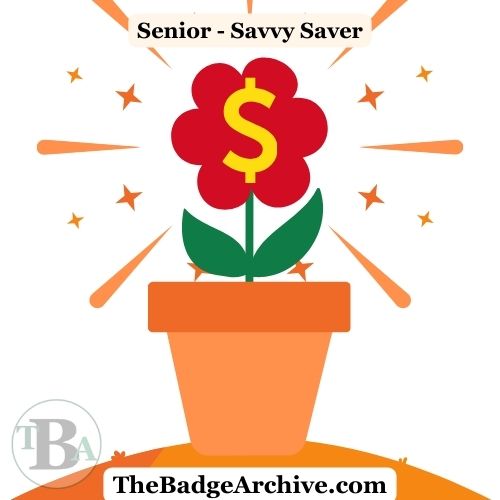 2011 – Savvy Saver – The Badge Archive