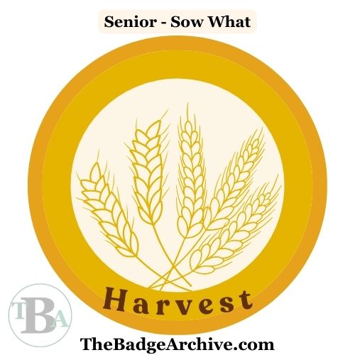 2011 – Sow What (Journey Set) – The Badge Archive