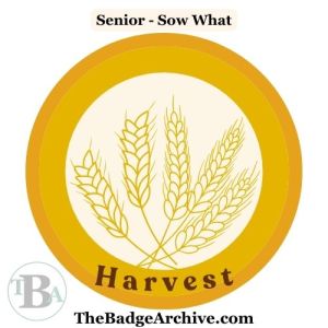 2011 – Sow What (Journey Set) – The Badge Archive