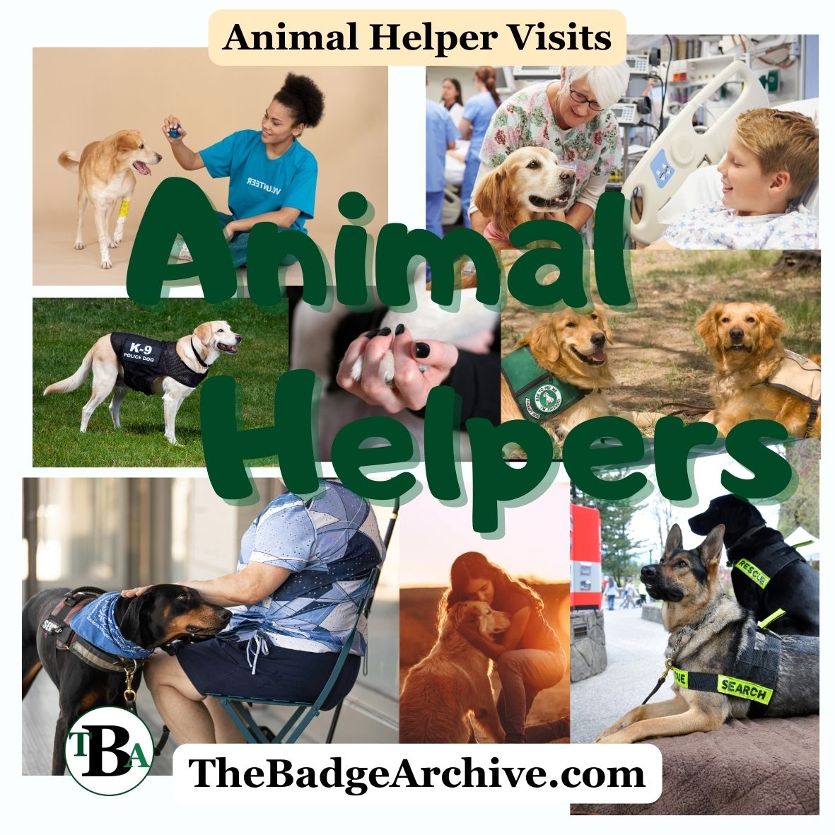 GSUSA – All About Animal Helpers – The Badge Archive