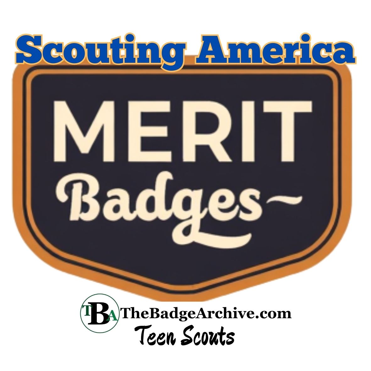 2025 – Scouts BSA Merit Badges – The Badge Archive